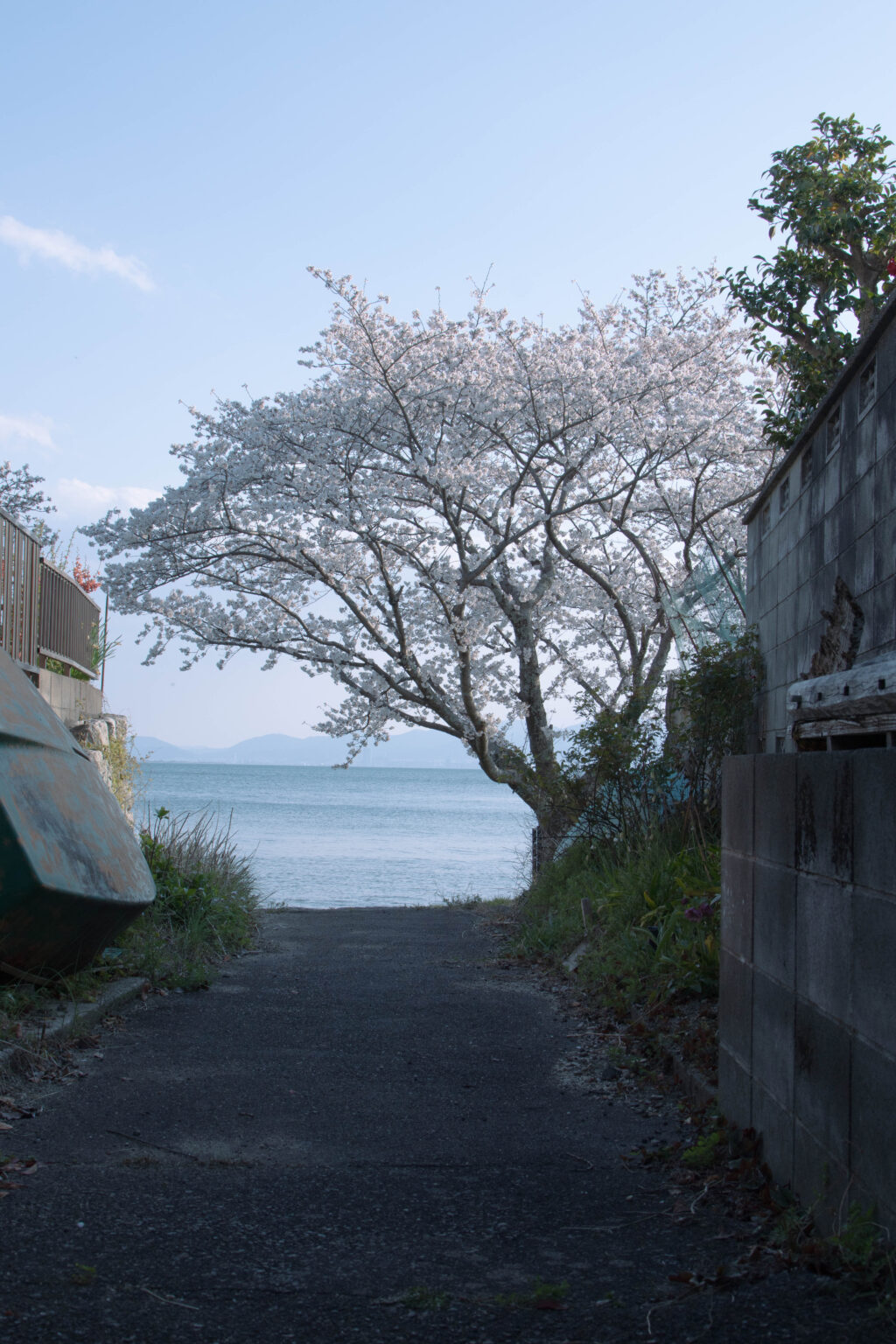 【レビュー】EF24-105mm F4L IS USMの作例と感想 – Sazlog