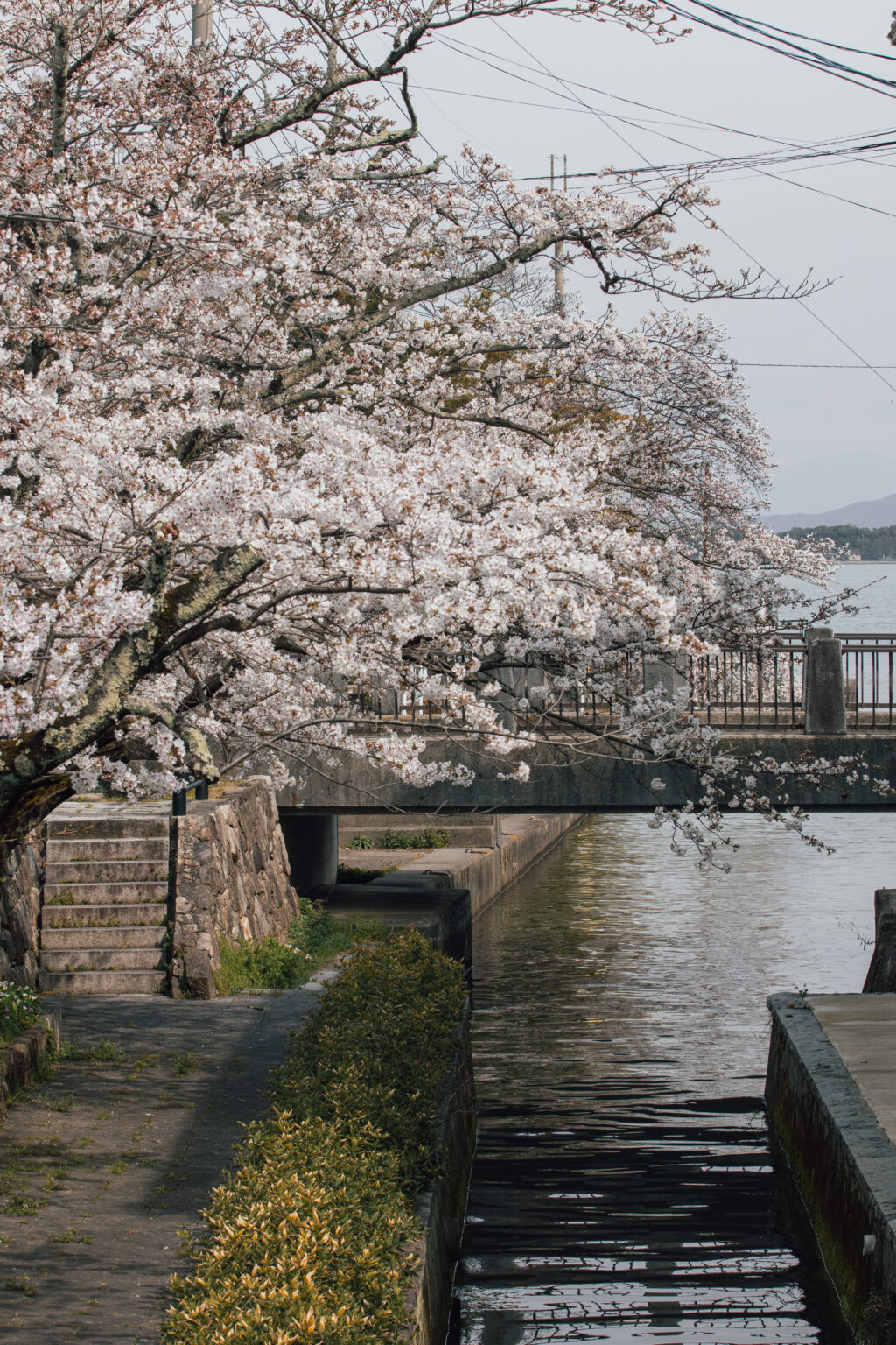 【滋賀・堅田】浮御堂へのアクセス完全ガイド！駐車場・食事・観光情報まとめ – Sazlog